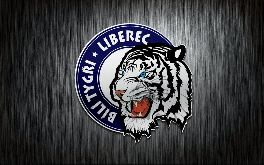 Hokejová akademie v Liberci myslí už na žáky – CS Hockey